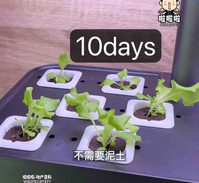 12.12 SALES_Quuma Smart Hydroponic System - QUUMA