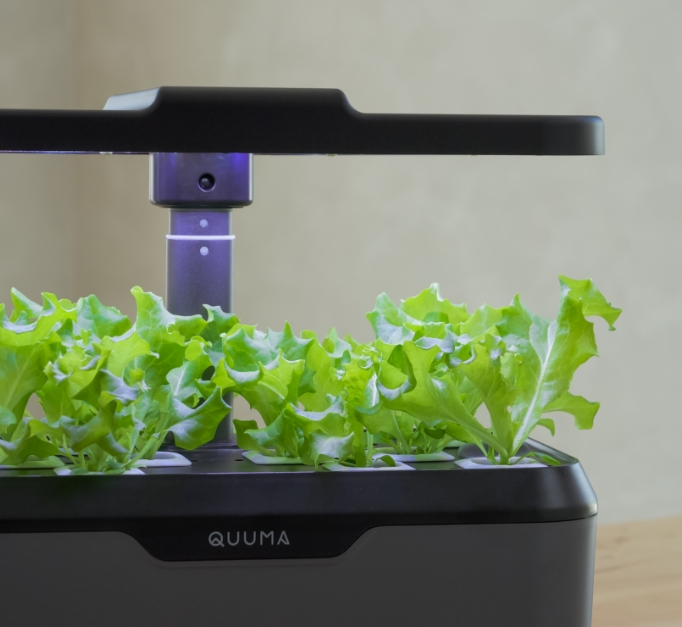 12.12 SALES_Quuma Smart Hydroponic System - QUUMA