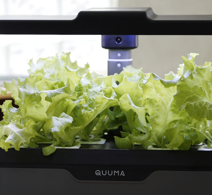 12.12 SALES_Quuma Smart Hydroponic System - QUUMA
